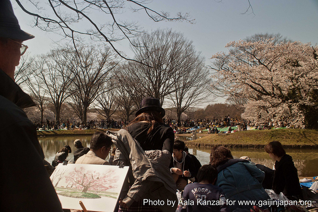 Parc Yoyogi à Tokyo, le parc où sortir | Un Gaijin au Japon