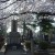 Yanaka Reien, le cimetière de Yanaka à Tokyo | Un Gaijin au Japon