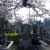 Yanaka Reien, le cimetière de Yanaka à Tokyo | Un Gaijin au Japon