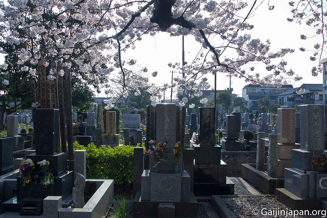 Yanaka Reien, le cimetière de Yanaka à Tokyo | Un Gaijin au Japon