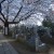 Yanaka Reien, le cimetière de Yanaka à Tokyo | Un Gaijin au Japon