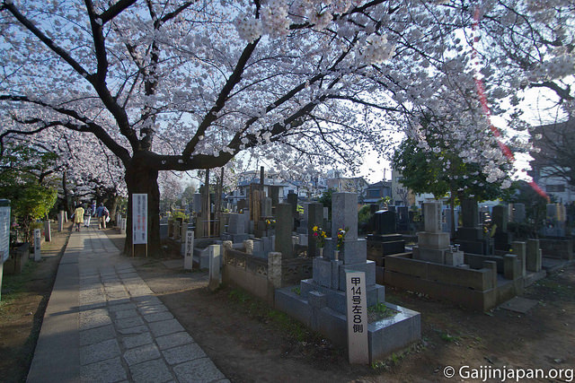 Yanaka Reien, le cimetière de Yanaka à Tokyo | Un Gaijin au Japon