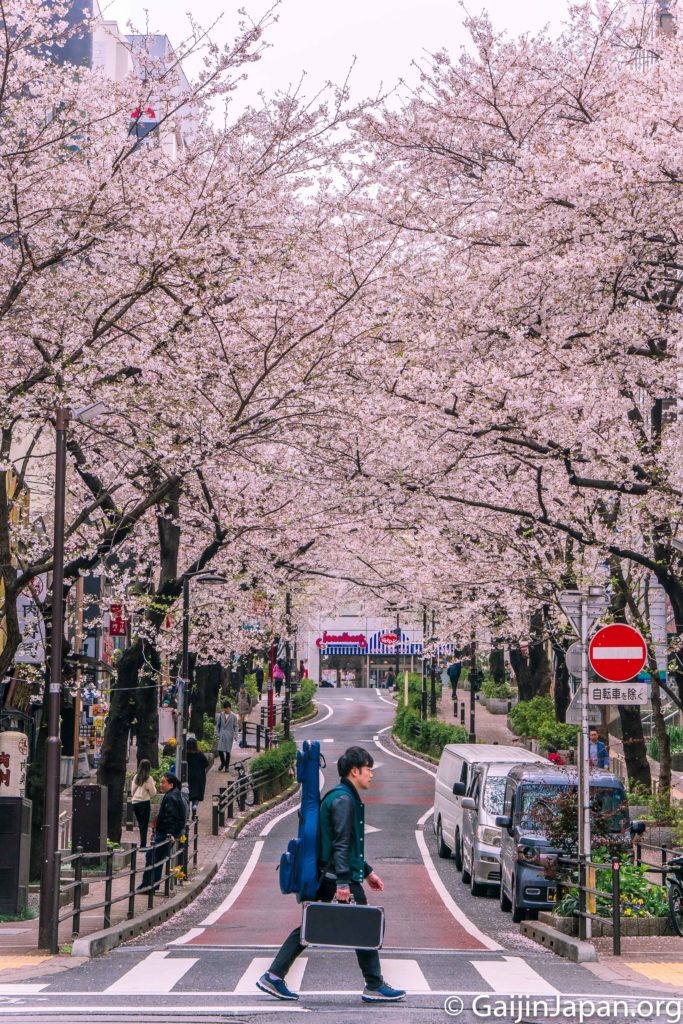 Un Gaijin au Japon – DSC00309