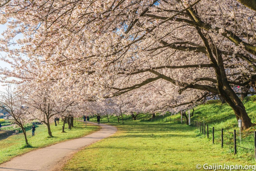Un Gaijin au Japon – DSC00803