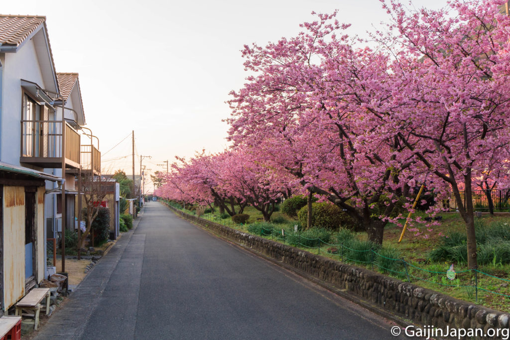 Un Gaijin au Japon – DSC05642